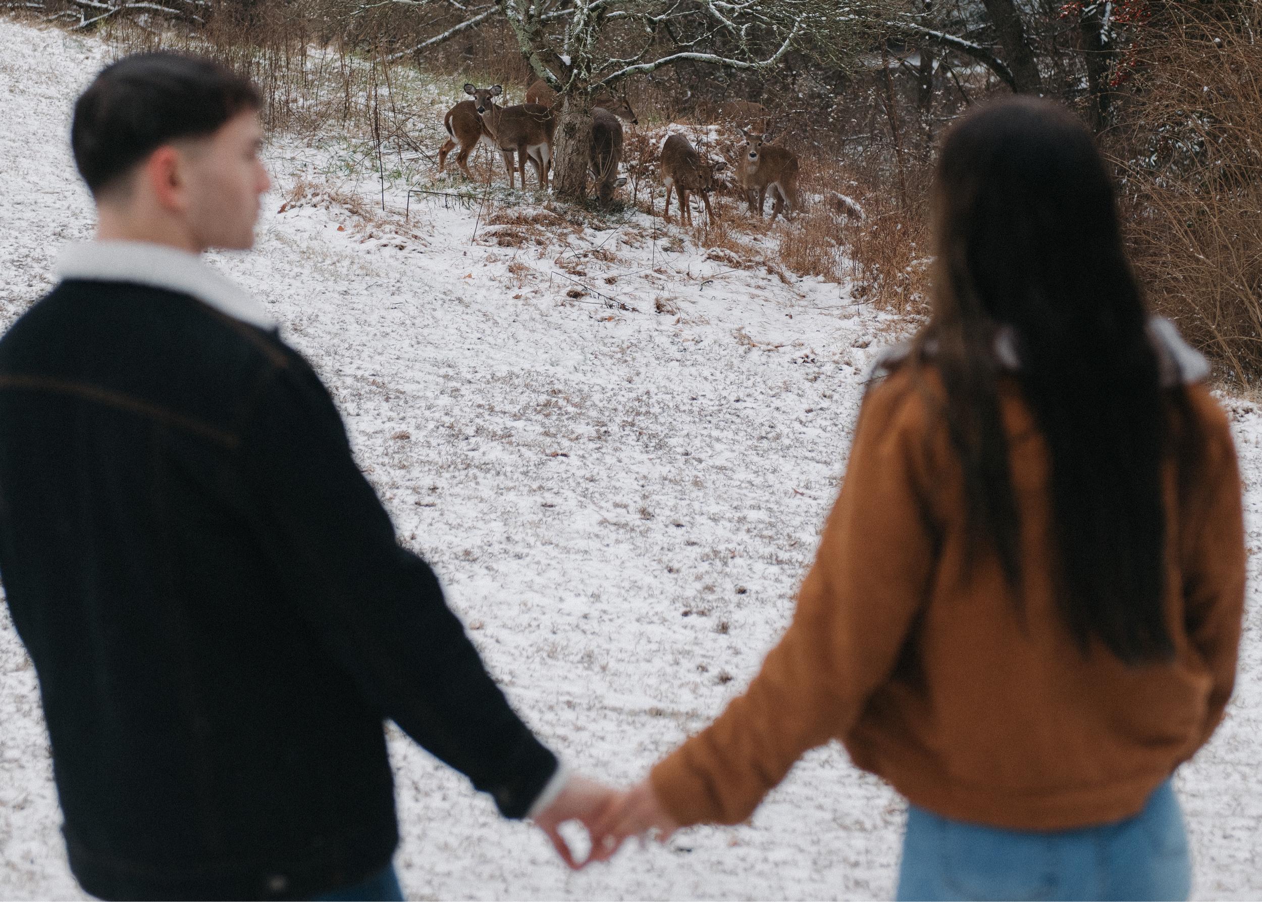 Dominik Duran and Daniela Smith's Wedding Website