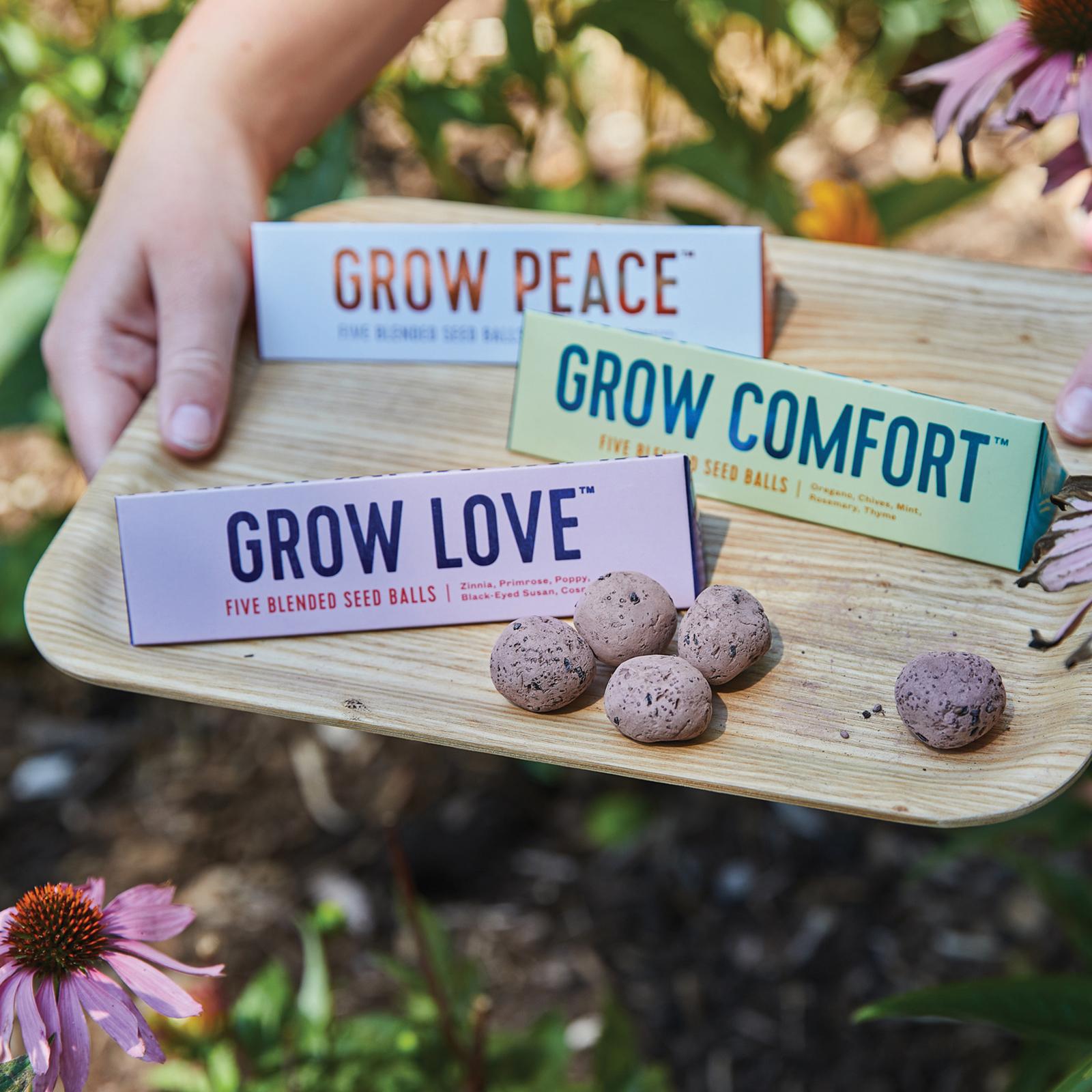 Modern Sprout, Bright Side 3-Piece Seed Ball Variety Favor Pack | Zola