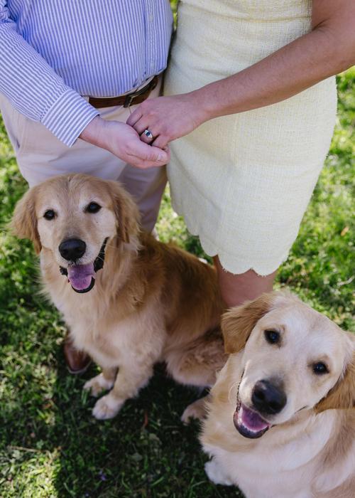 Stephanie Bruzzi Couto and Andrew August Hines' Wedding Website