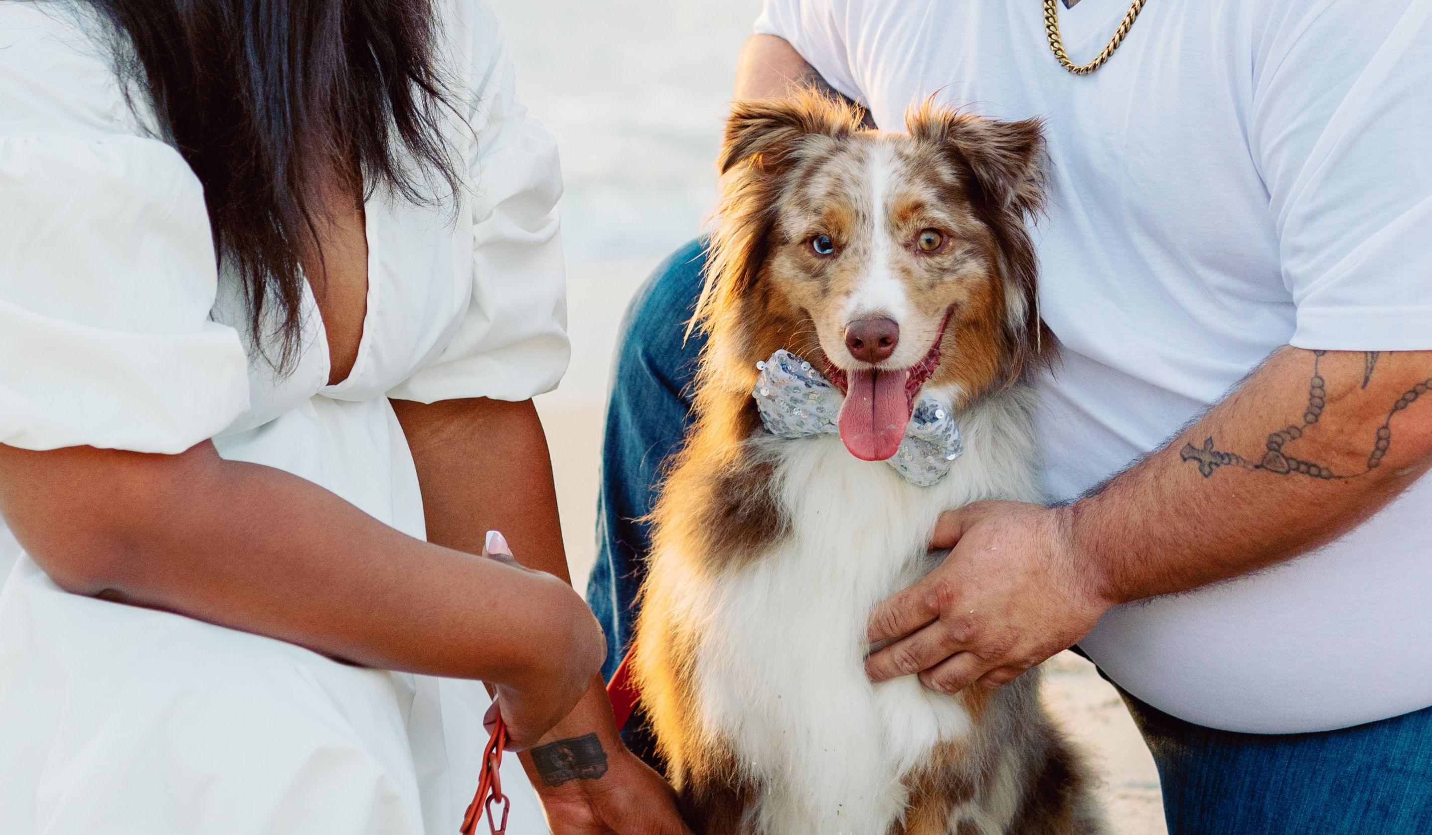 Ashlee Sawyer and Jacob Padgett's Wedding Website