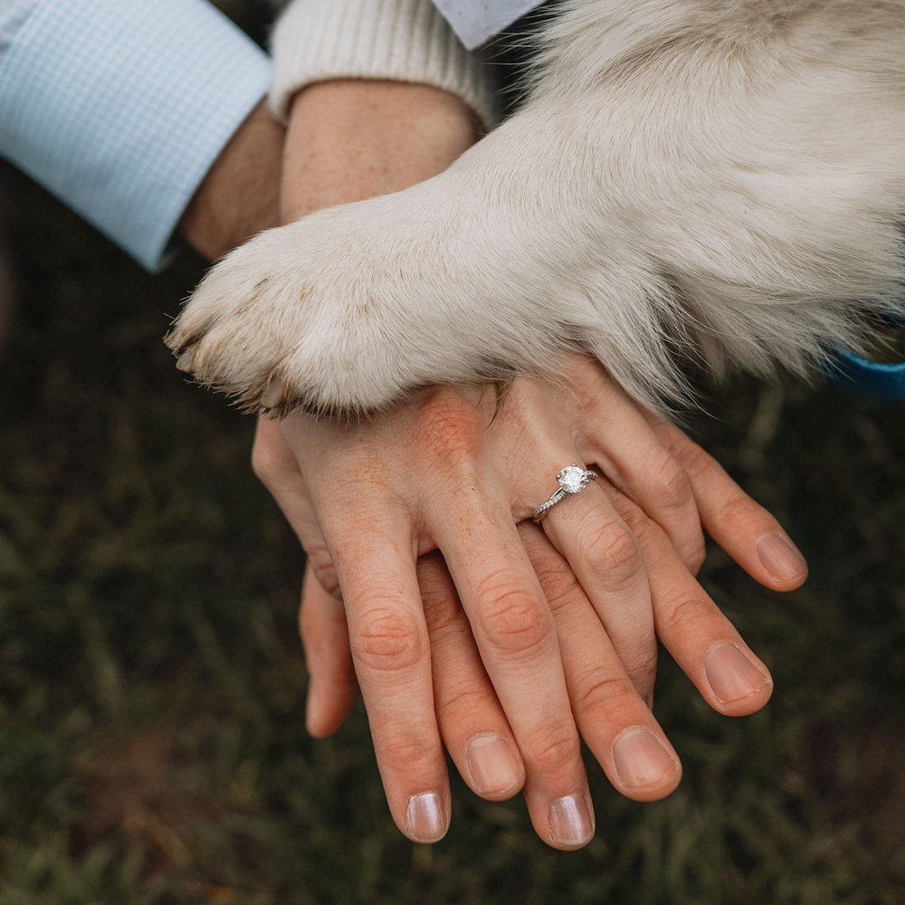 Thierran Tavakoli and Morgan Foust's Wedding Website