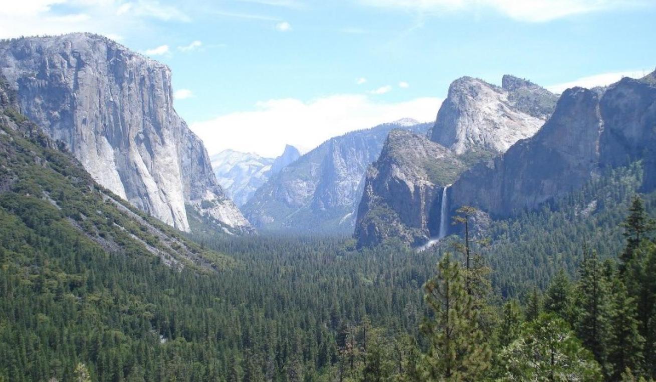 Lucas Shapiro and Erica Payne's Wedding Website