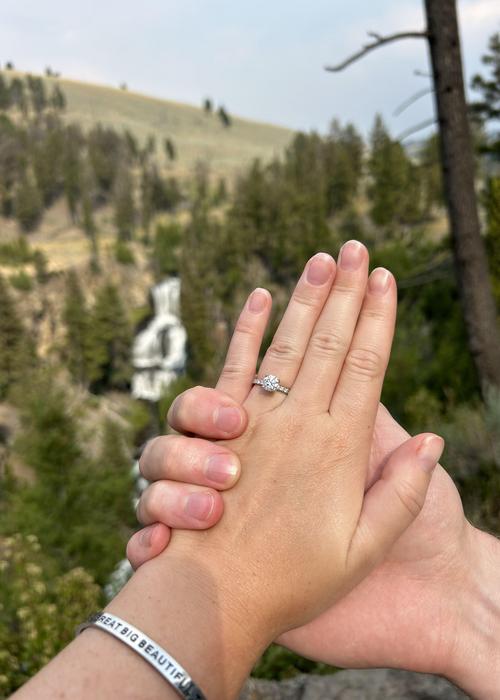 Amy Bergquist and Austin O'Malley IV's Wedding Website