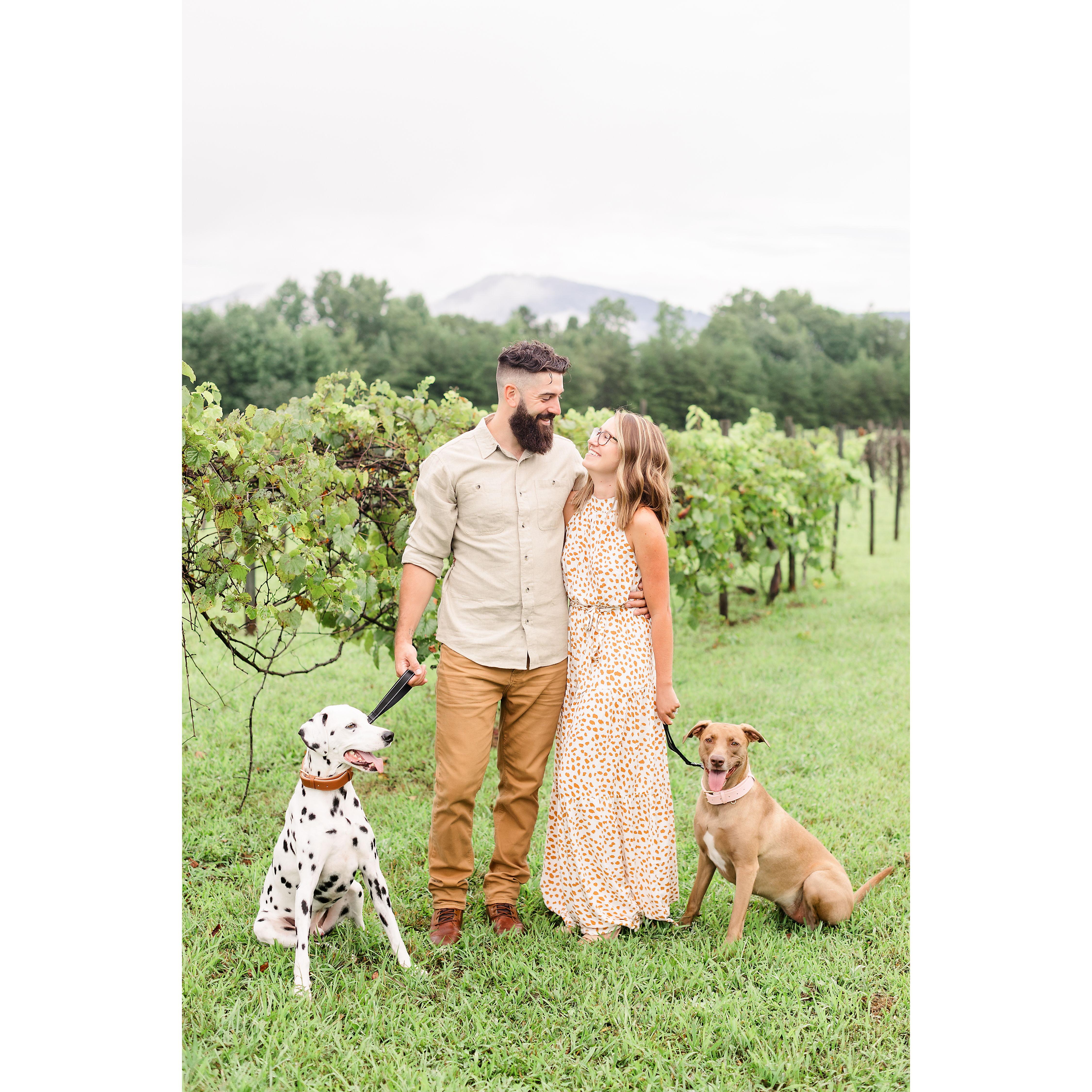 Jessica Dickey and Aaron Cormier's Wedding Website