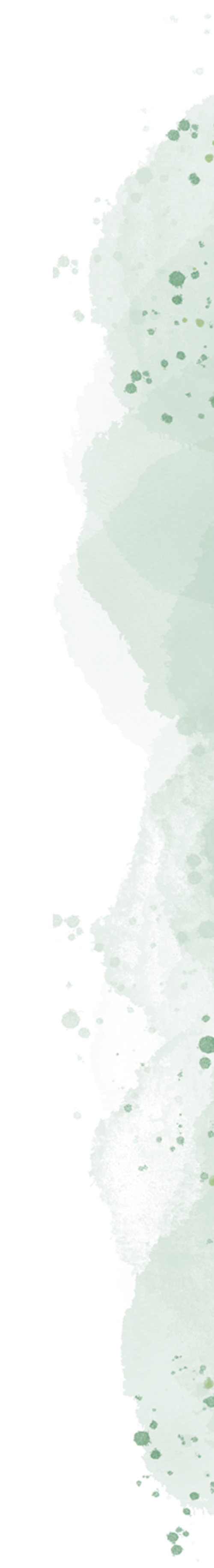 Robyn Worrall and Nicholas Salandra's Wedding Website