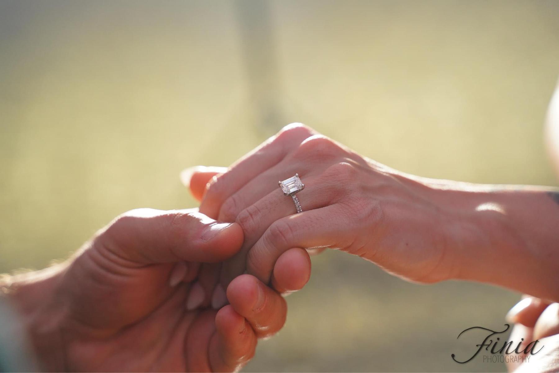 Nael Bseiso and Megan Wroblewski's Wedding Website