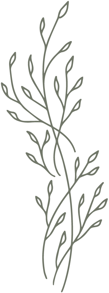 Velda Lim and Winson Ee's Wedding Website