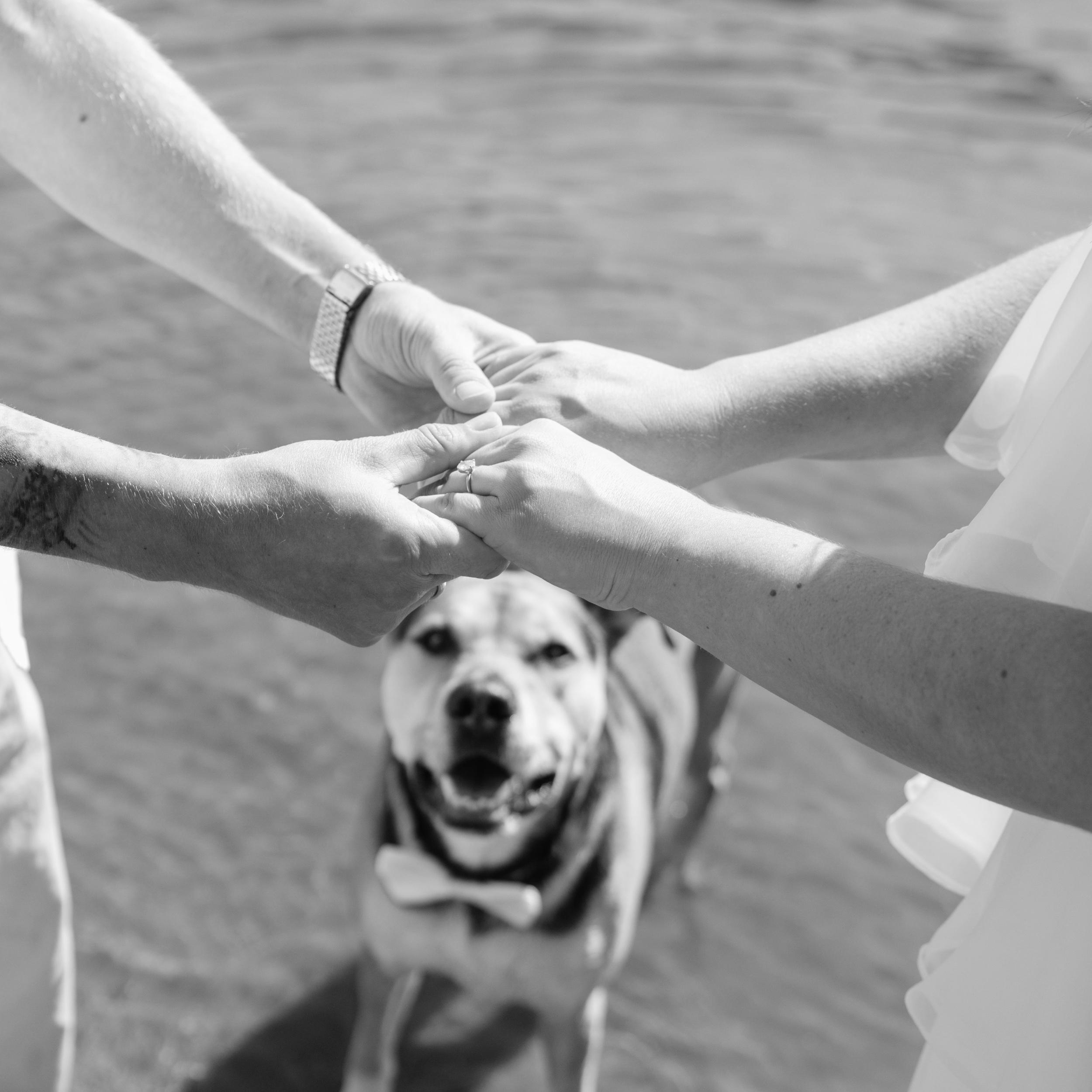 Taylor Carlson-Parker and Wade Perry's Wedding Website