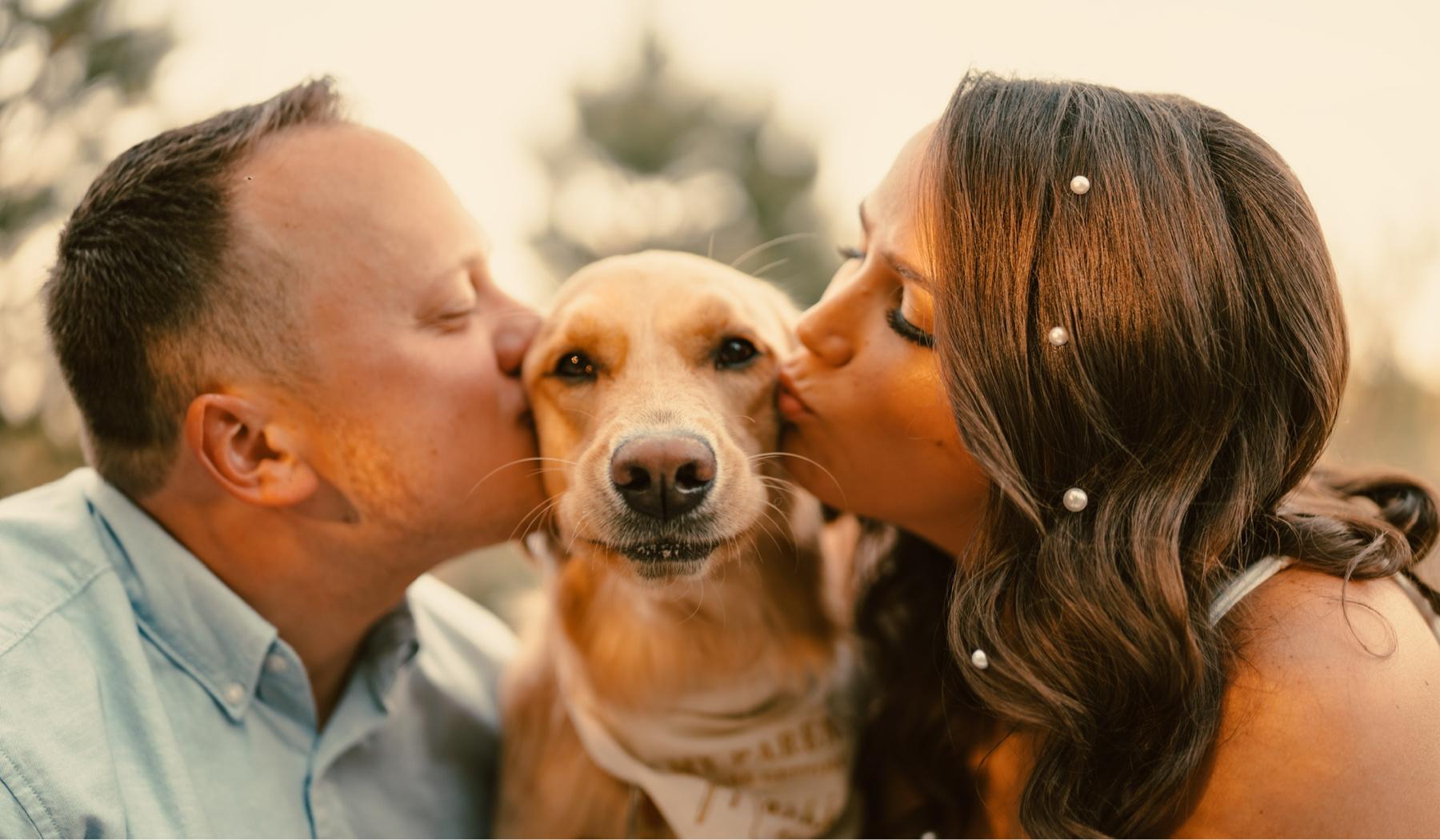 Amanda Pentz and Daniel McLaughlin's Wedding Website