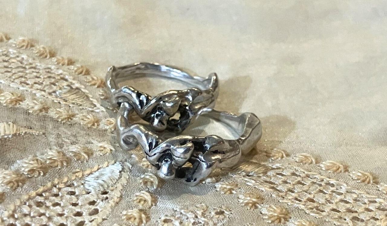 Judith Schoonmaker and James Faison's Wedding Website