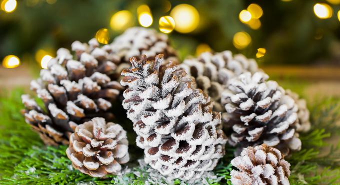 Katherine Greenway and Aaron DeMoss' Wedding Website