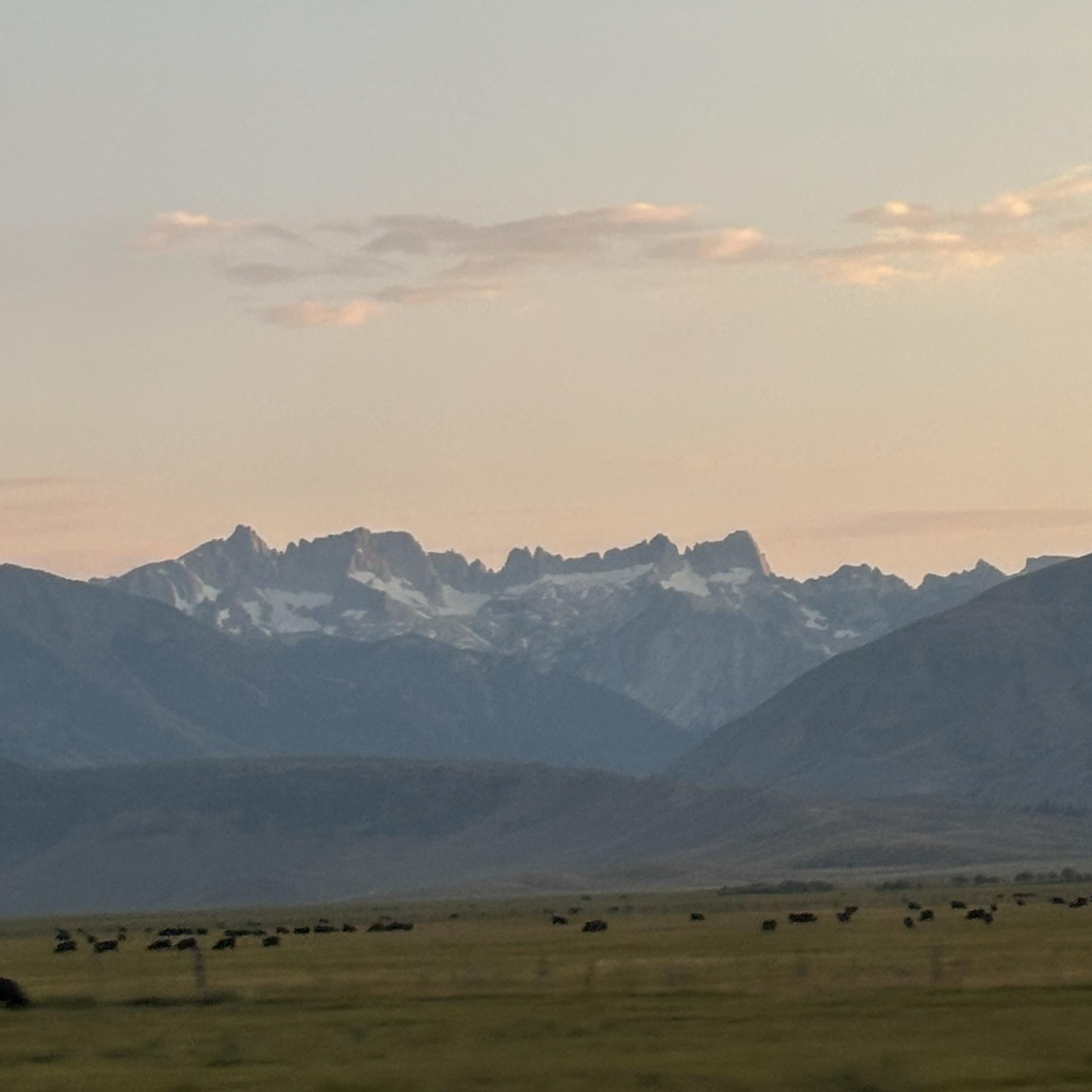 Veda Parker and Aaron Freifeld's Wedding Website