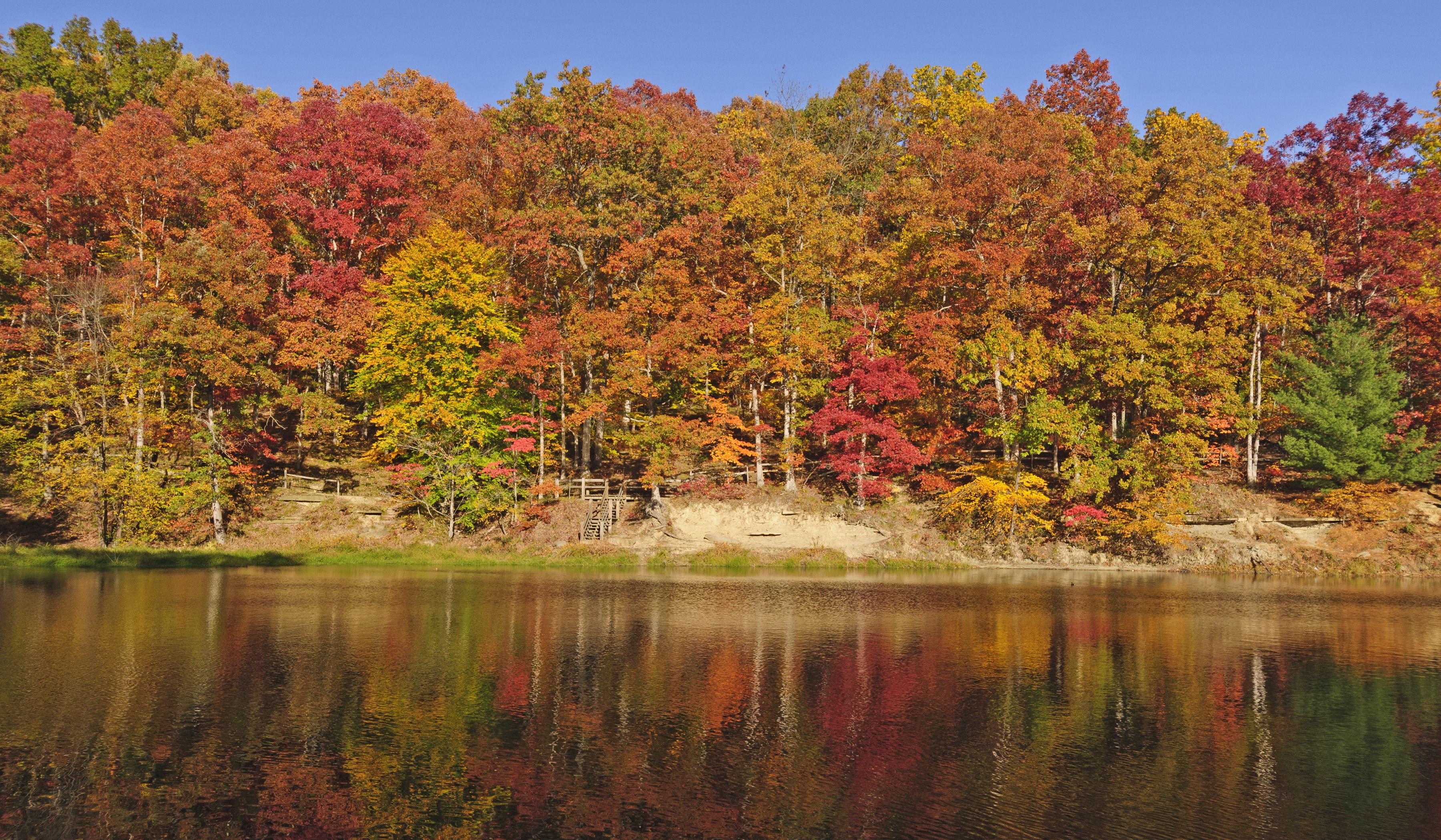 Luke Hart and Julia Decker's Wedding Website