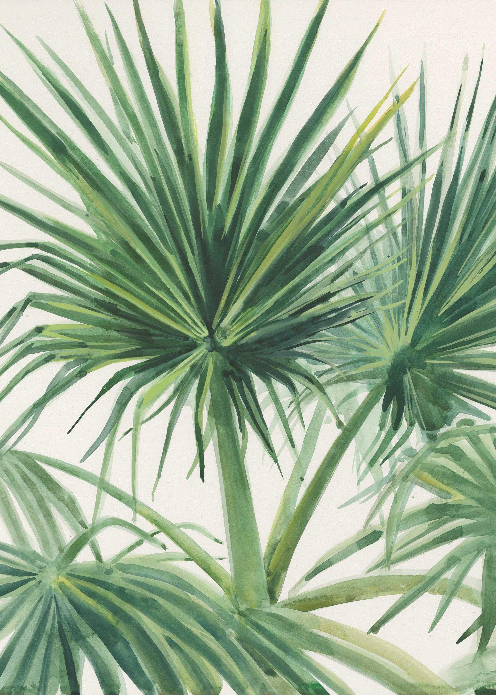 Eliza Carey and Patrick Harkness' Wedding Website