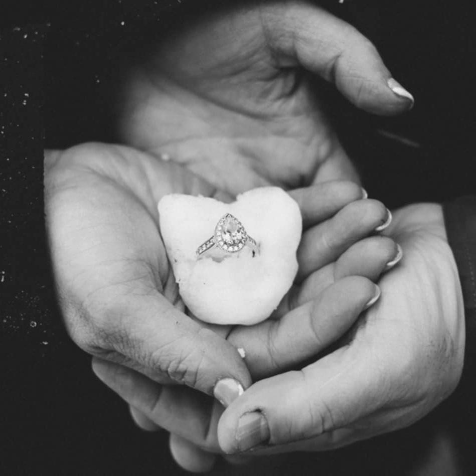 Brittany Kauker and Fred Sasso's Wedding Website