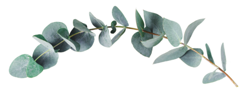 Ema Finegan and Justin Gubbins' Wedding Website