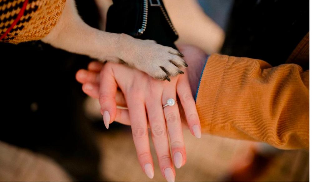 Rachel Wax and Samuel Goodspeed's Wedding Website