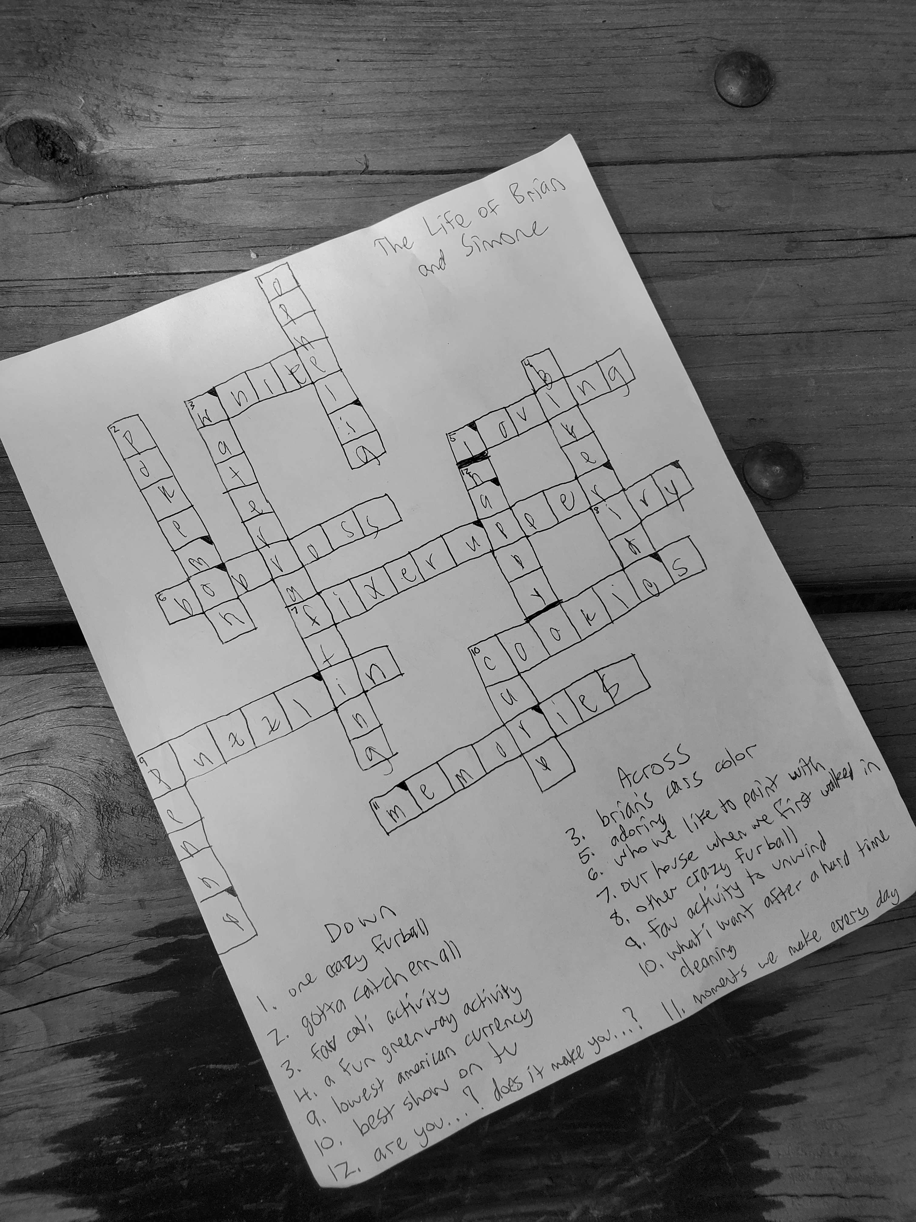 simone dahlberg and brian schneck's Wedding Website