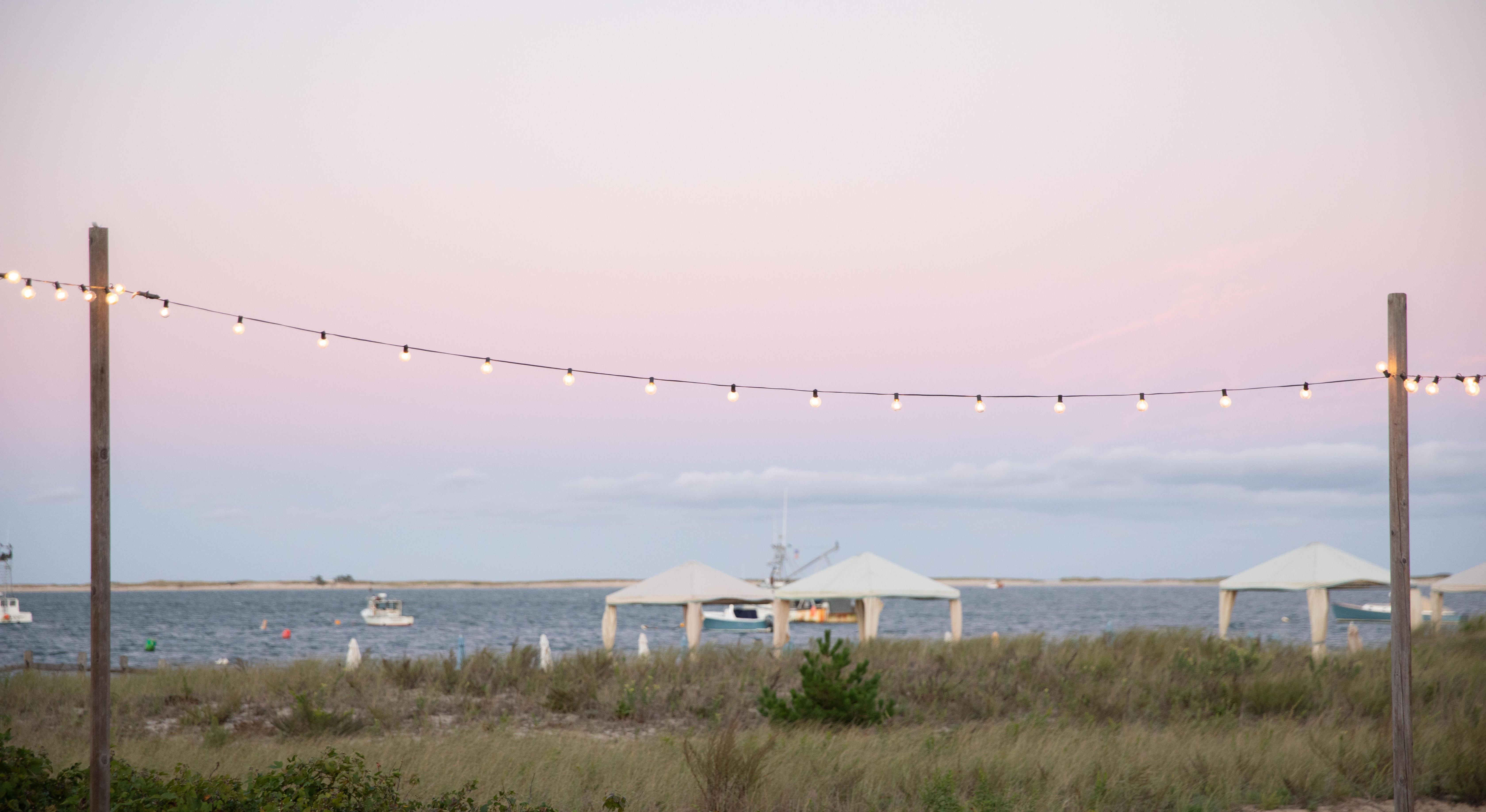 Caroline Van Wart and Ryan Coan's Wedding Website