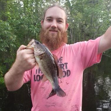 Cheyenne Panell and Brandon Holton's Wedding Website