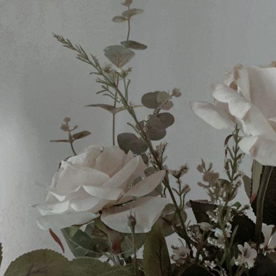 Alexandra Matheny and Hayden Barlow's Wedding Website