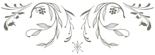 Megan Rainwater and Brian Lasley's Wedding Website