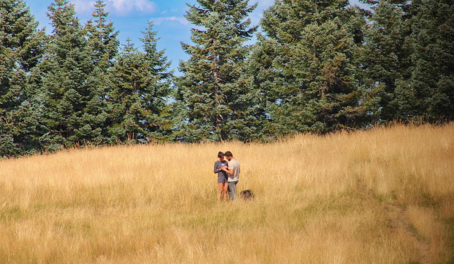 Anne Motlow and Mericos Rhodes' Wedding Website