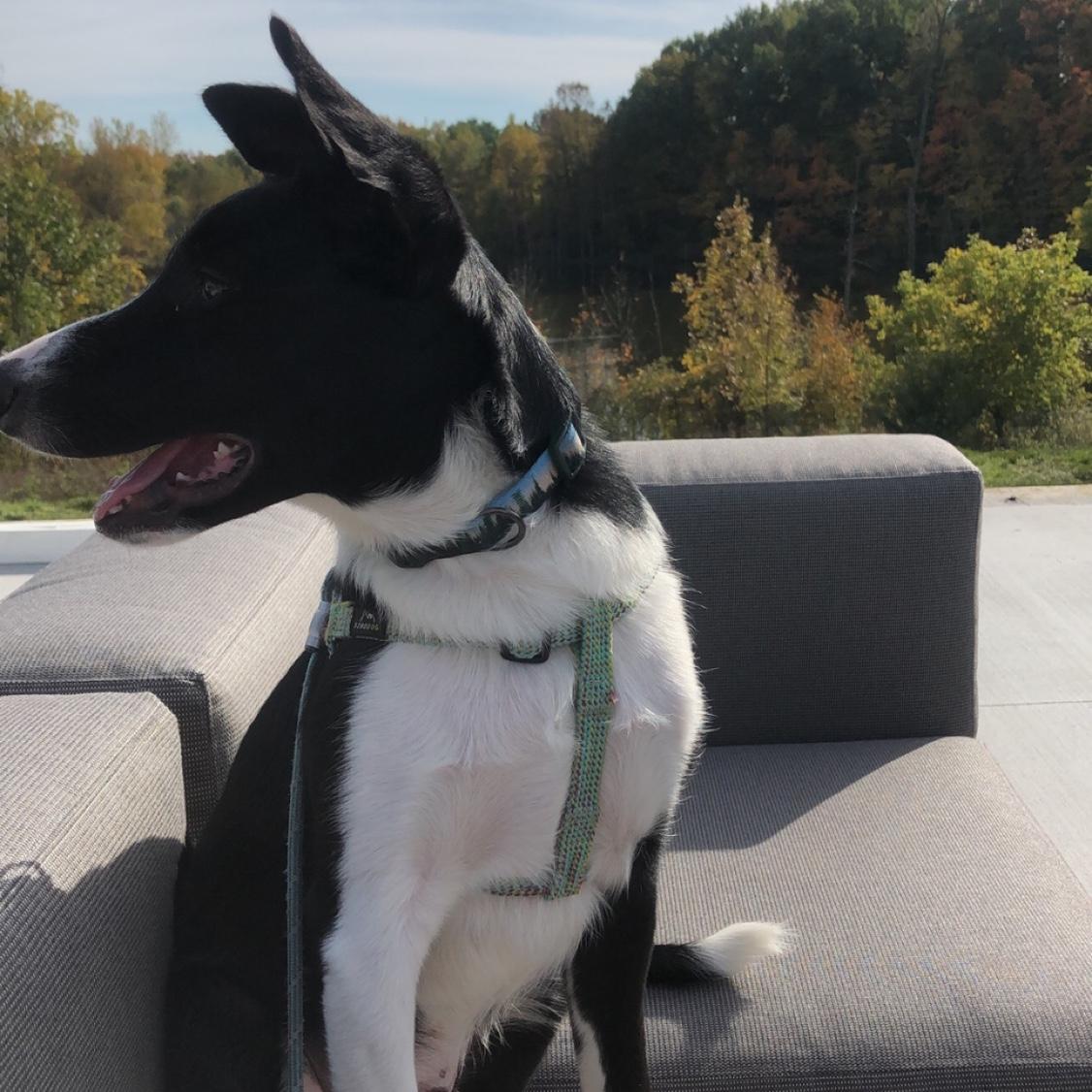 Mary Tozer and Bradley Ronning's Wedding Website