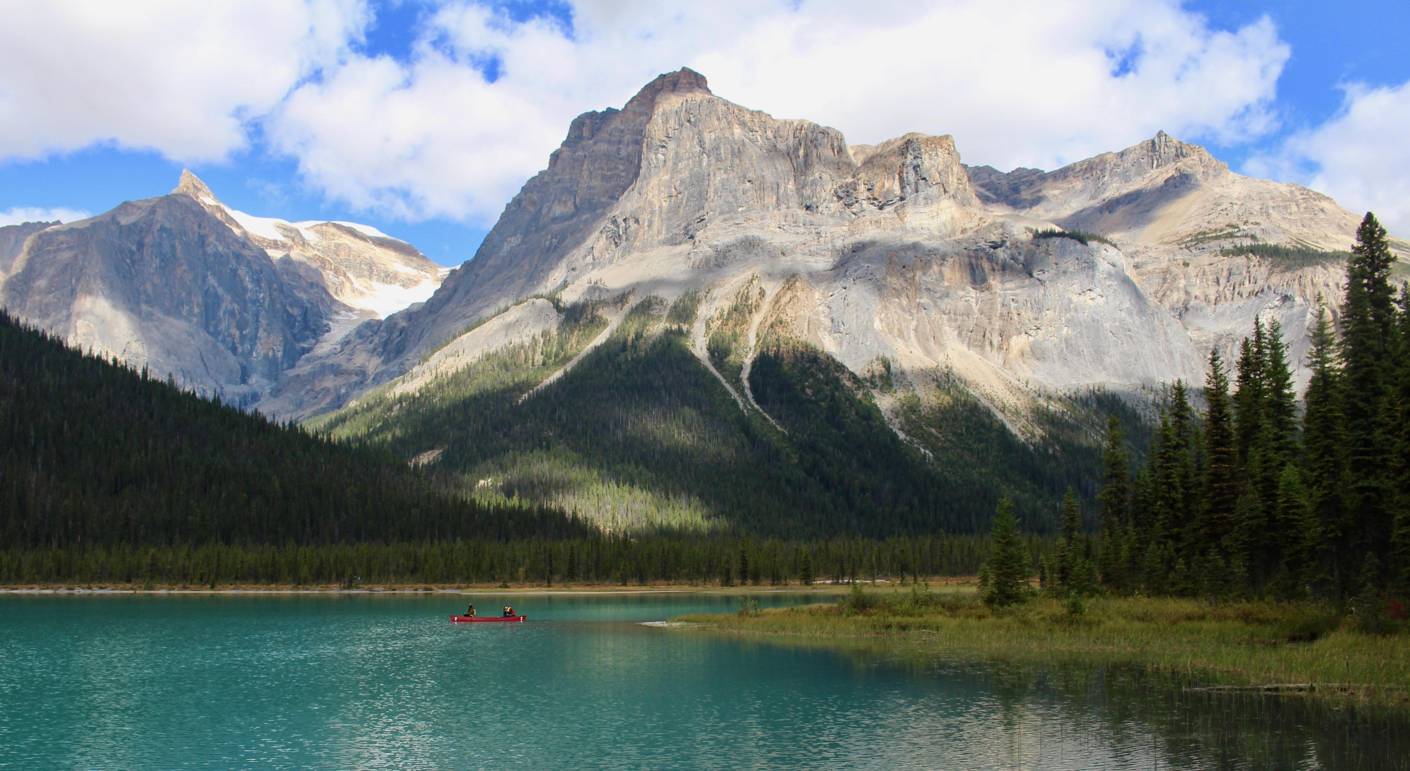 Allison Sturm and Dillon Hall's Wedding Website