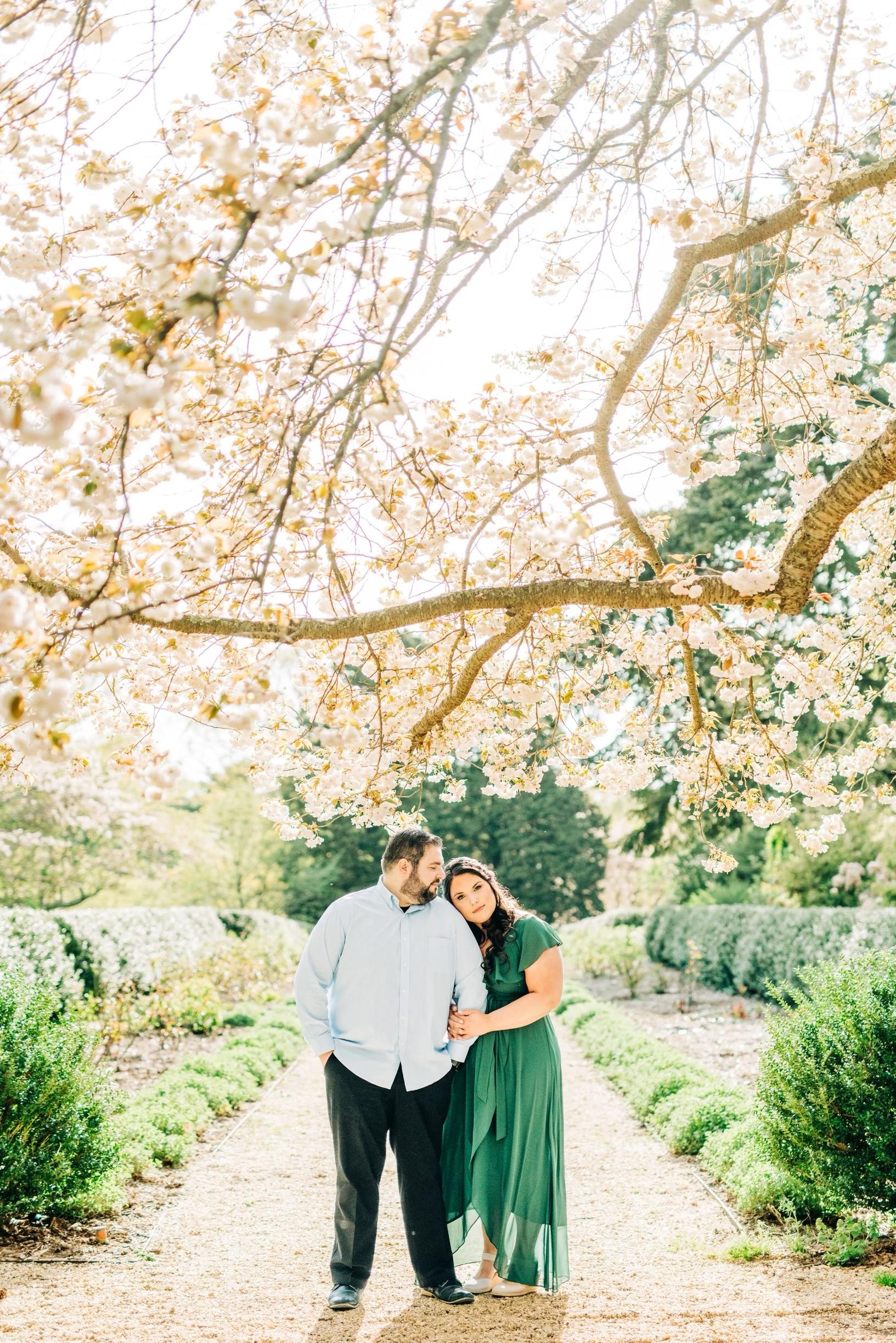 Jennifer Riccardi and Vincent DiFalco's Wedding Website