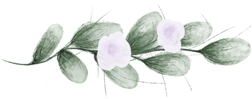 Leslie Cloin and Bob Pondrom's Wedding Website