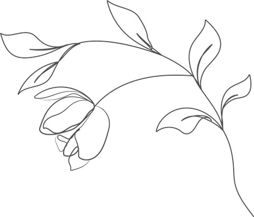 Jena Jarvis and Aaron Hemphill's Wedding Website