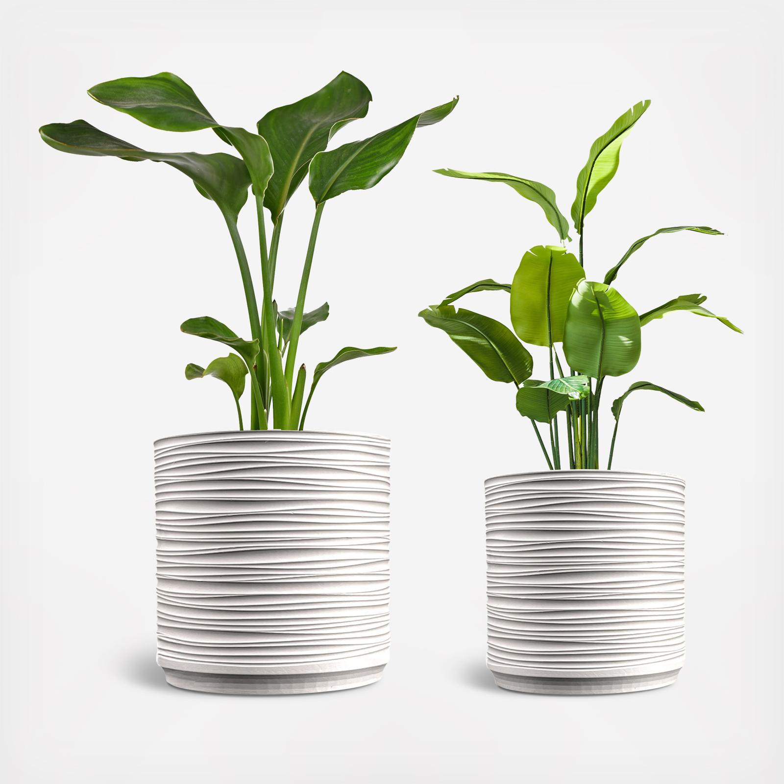 Happimess, Flo Ripple 2-Piece 3D Printed Planter Set | Zola