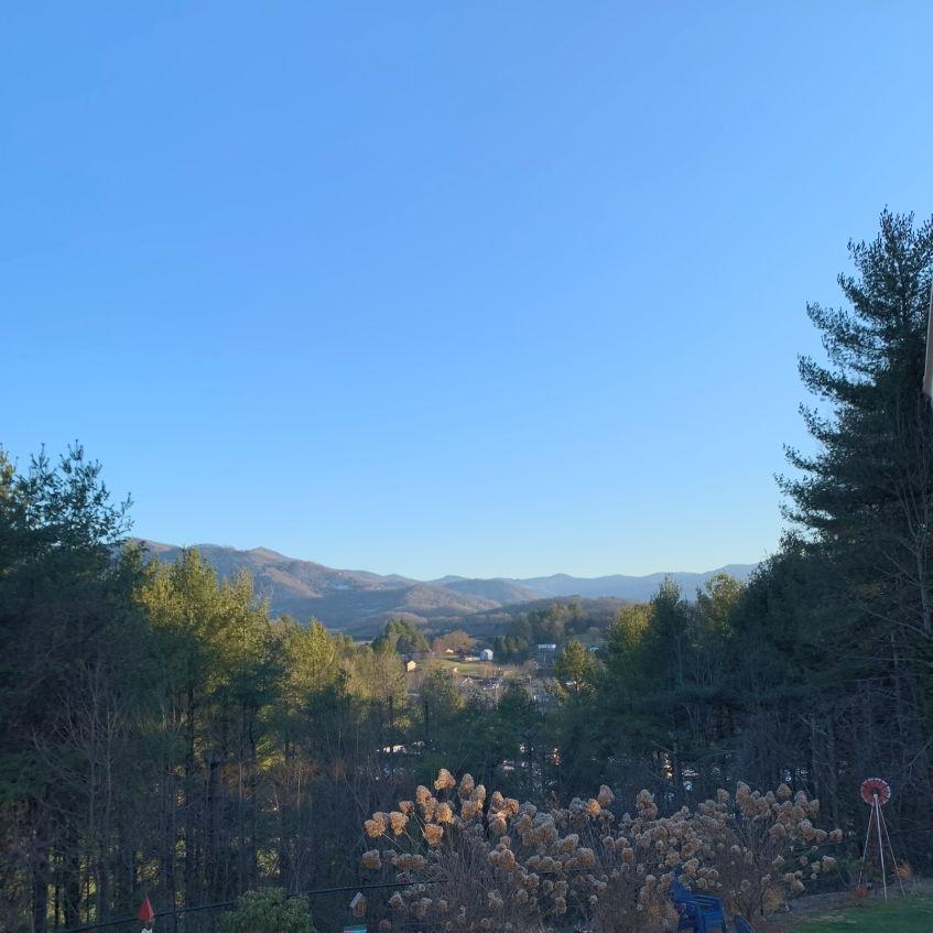 Mollie Spudie and Andrew Frederick's Wedding Website