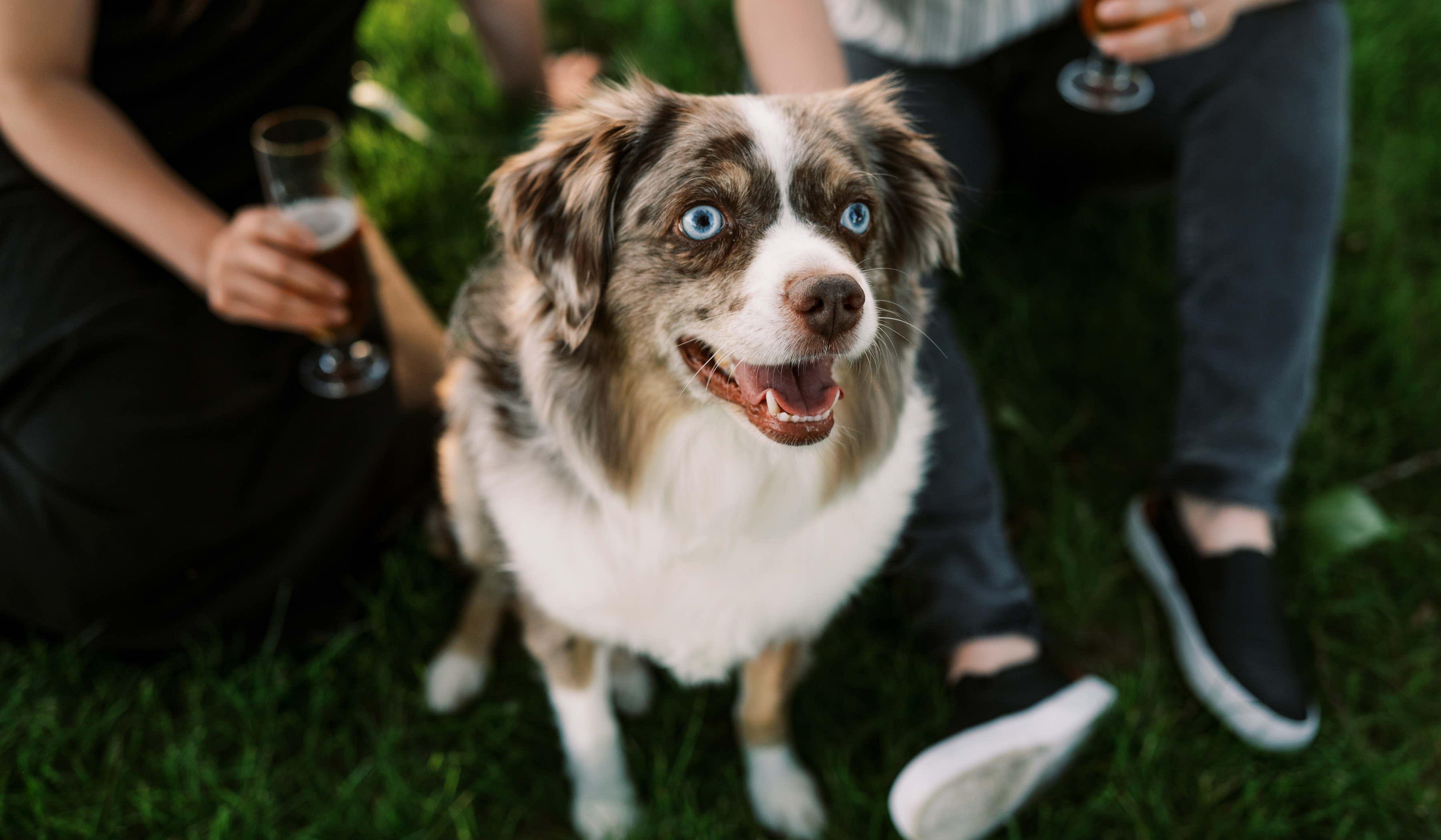 Jessica Spada and Hope Yates' Wedding Website