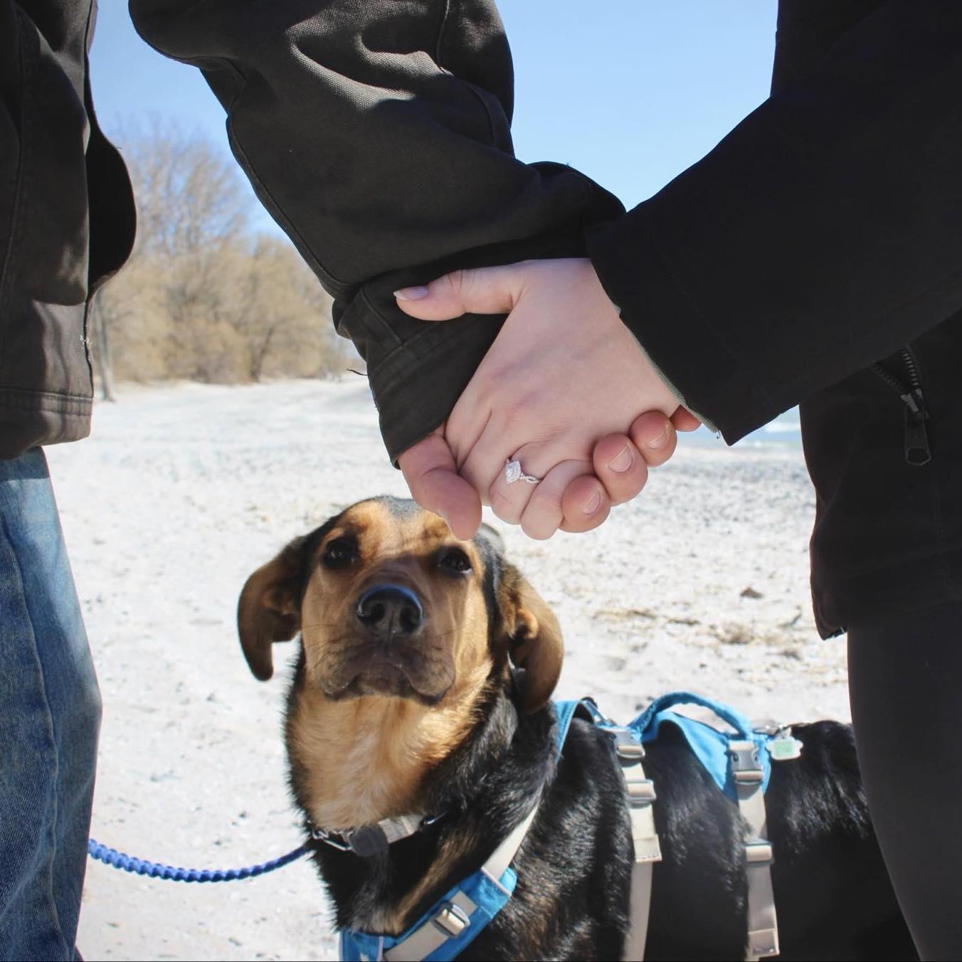 Ashley Burris and Ellias Martin's Wedding Website