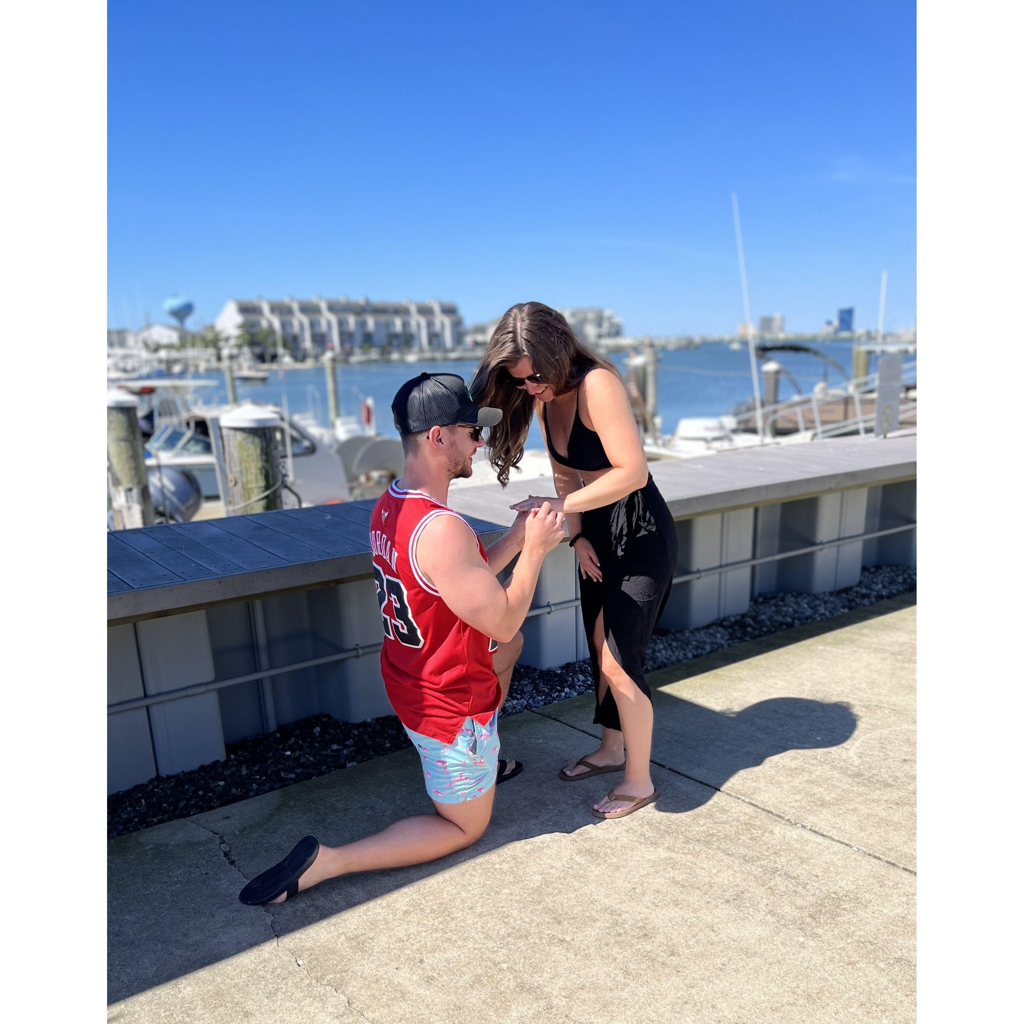 Allyson Chila and Brandon DeAngelo's Wedding Website