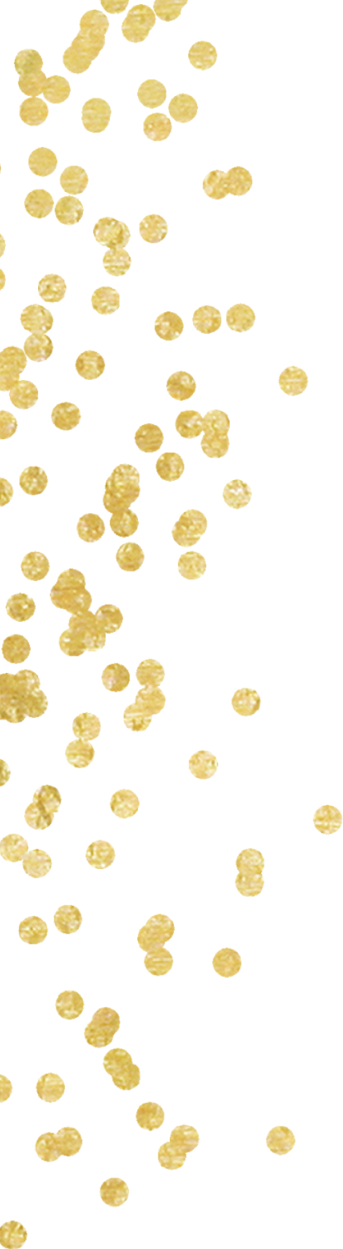 Mileva Popovic and Amin Nikfar's Wedding Website