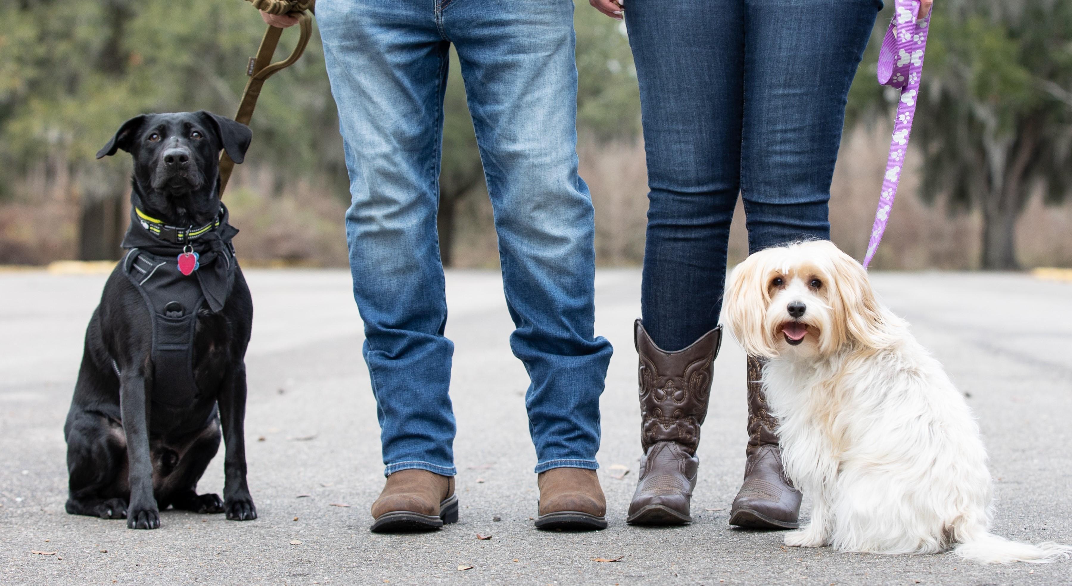 Hannah Springer and Ryan Kornrumpf's Wedding Website