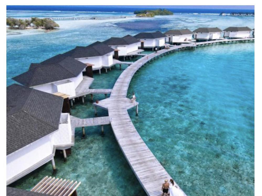 Sonya Jakucki and Bo Knight's Wedding Website