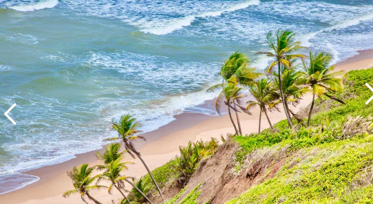 Adam Trotter and Monique Trotter's Wedding Website