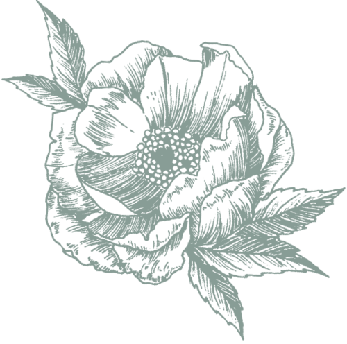 Emily Polito and John DeMattia's Wedding Website