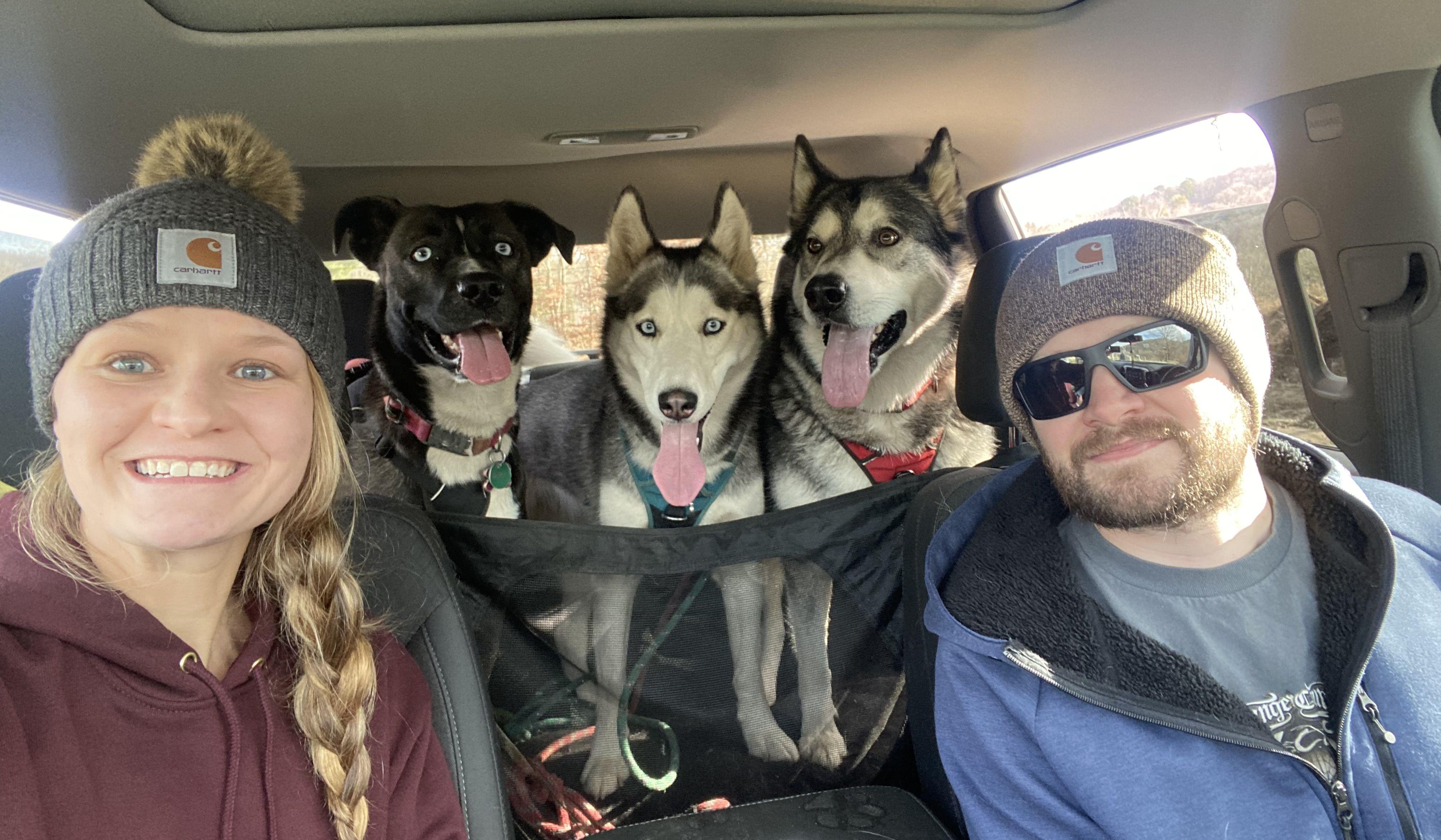 Lindsay McCarthy and Seth Stevens' Wedding Website