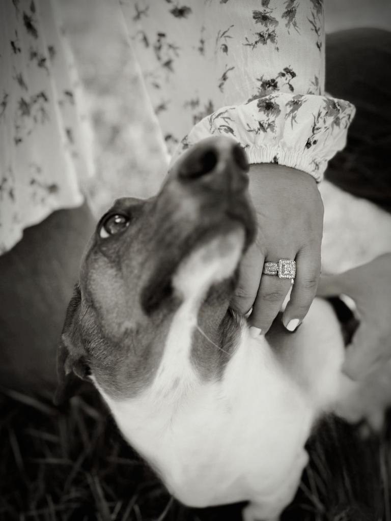 Robert Hill and Sarah Salgado's Wedding Website