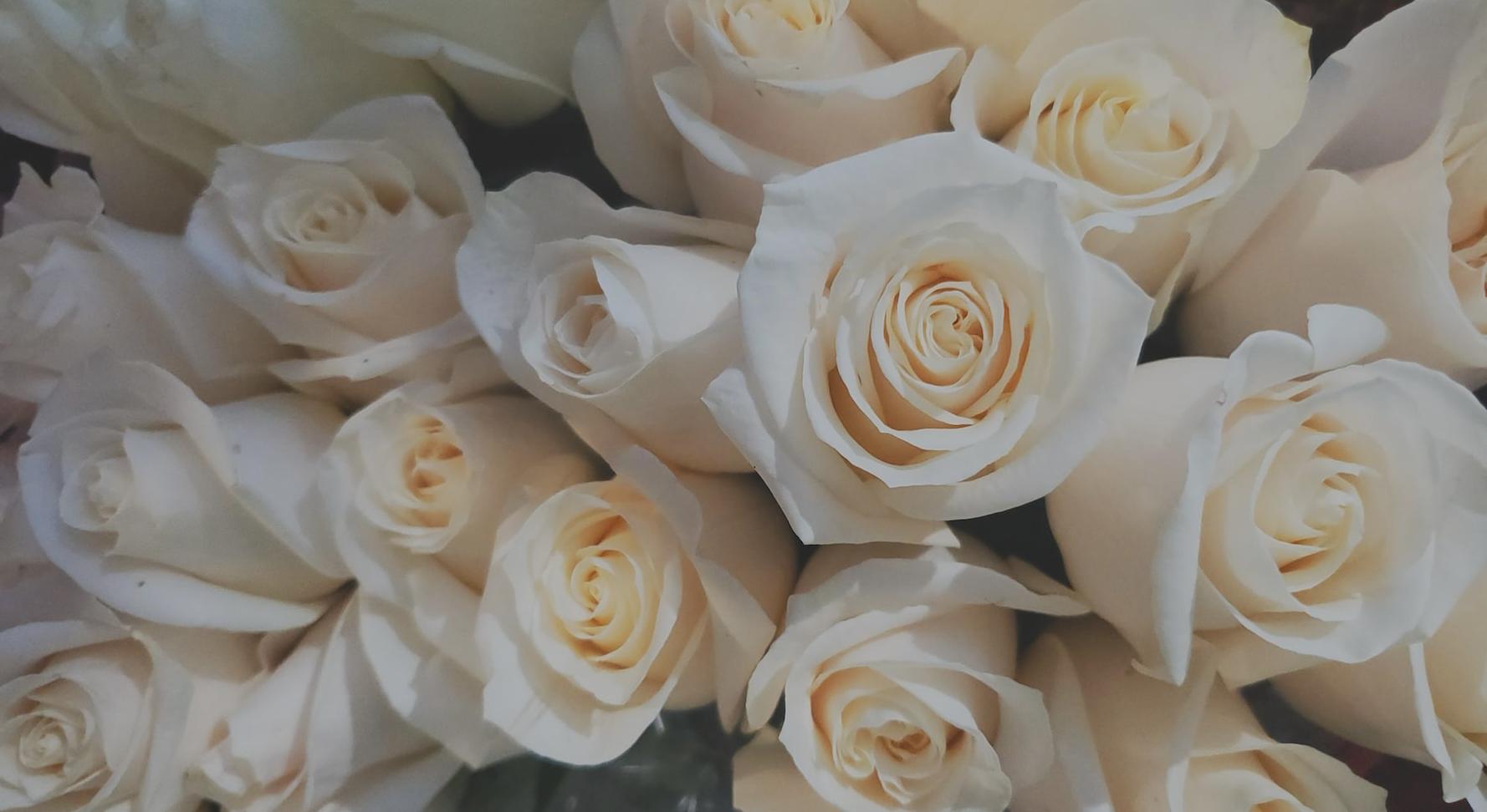 Kylie Pendley and Ryan Levine's Wedding Website