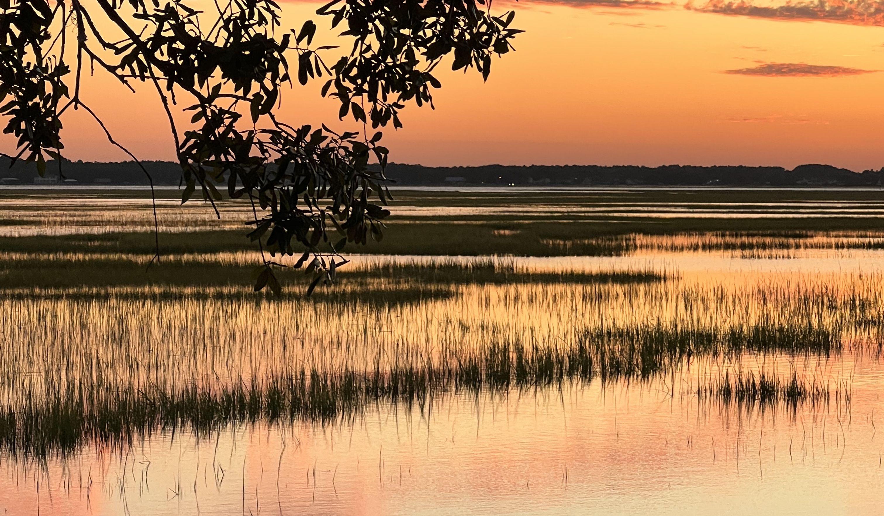 Terrie Gay Spiro and Elizabeth Roe Hughes' Wedding Website