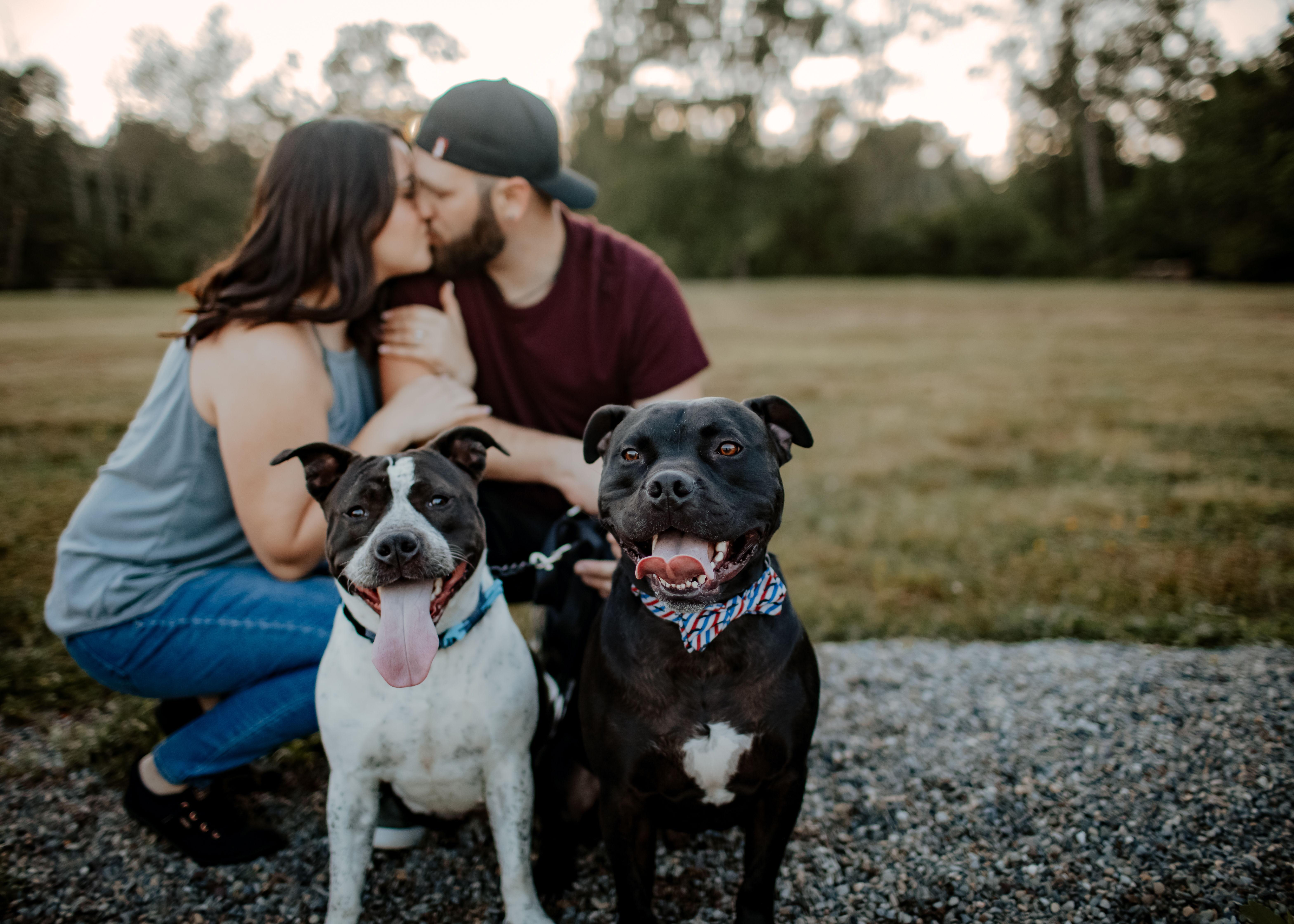 Ashley Muth and Matt Lepp's Wedding Website