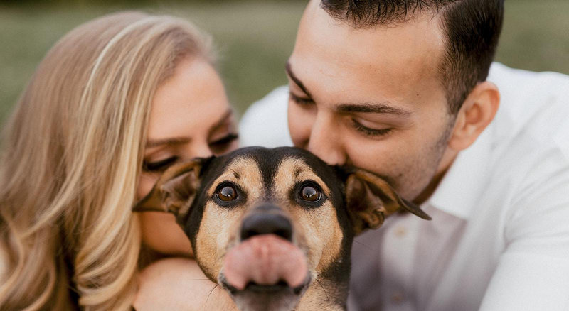 Erin Giampietro and Demetri Barnaba's Wedding Website