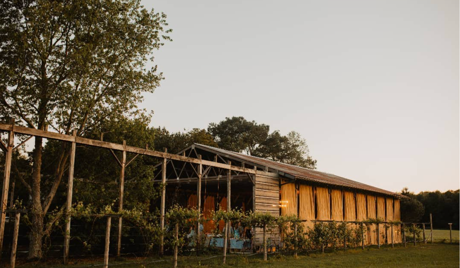 Patrick Streeter and Jessica Jozwik's Wedding Website