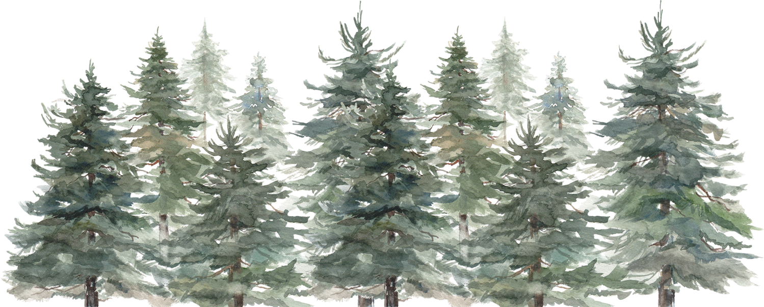 Rachel Reda and Peter Lacerenza's Wedding Website